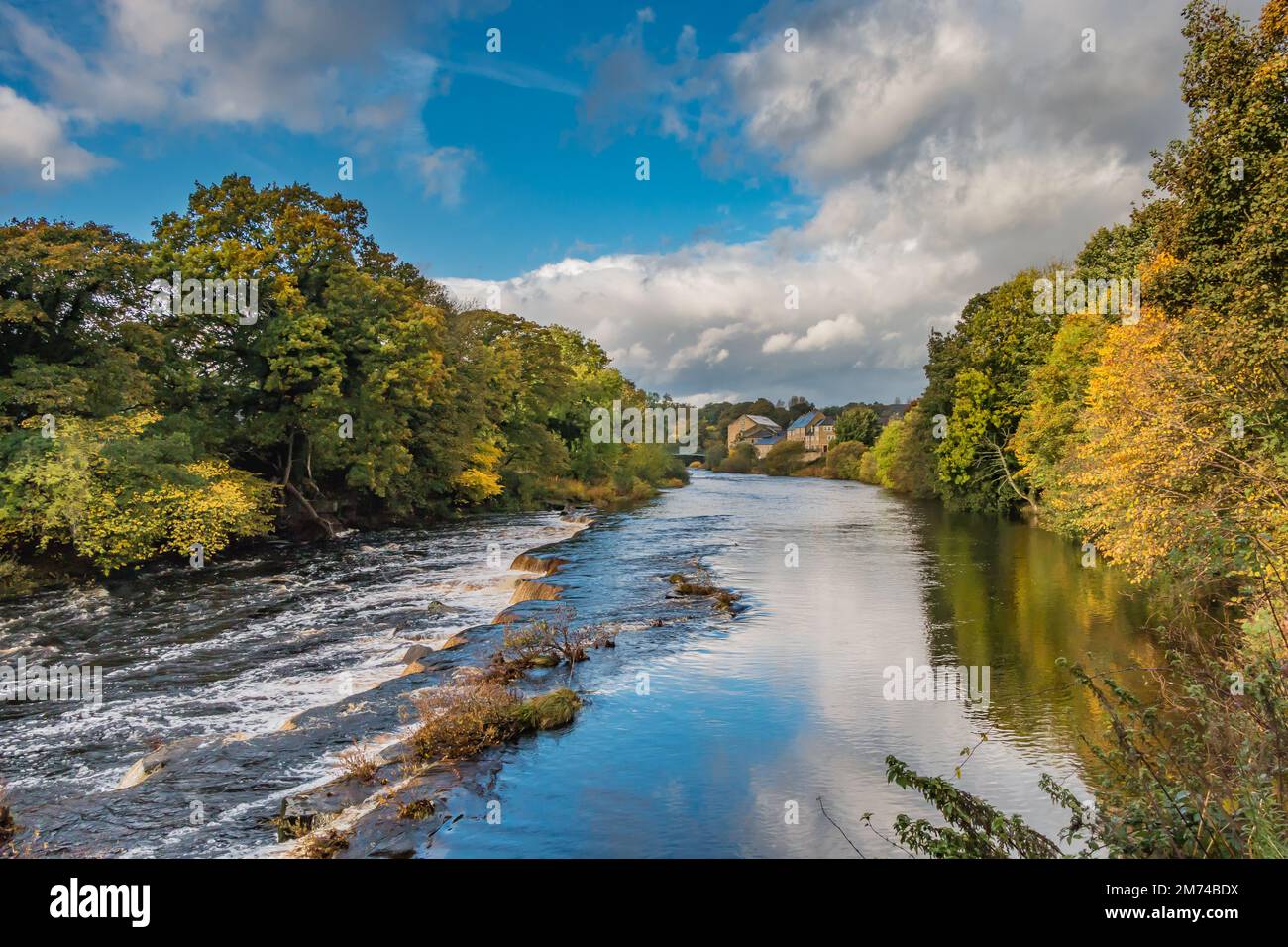 Vivid autumn foliage colours and strong sunlight in a brief sunny ...