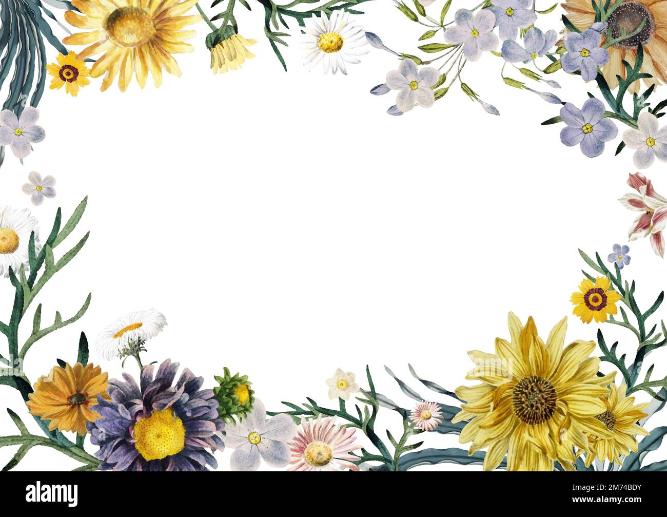Floral framed invitation card vector Stock Vector Image & Art - Alamy