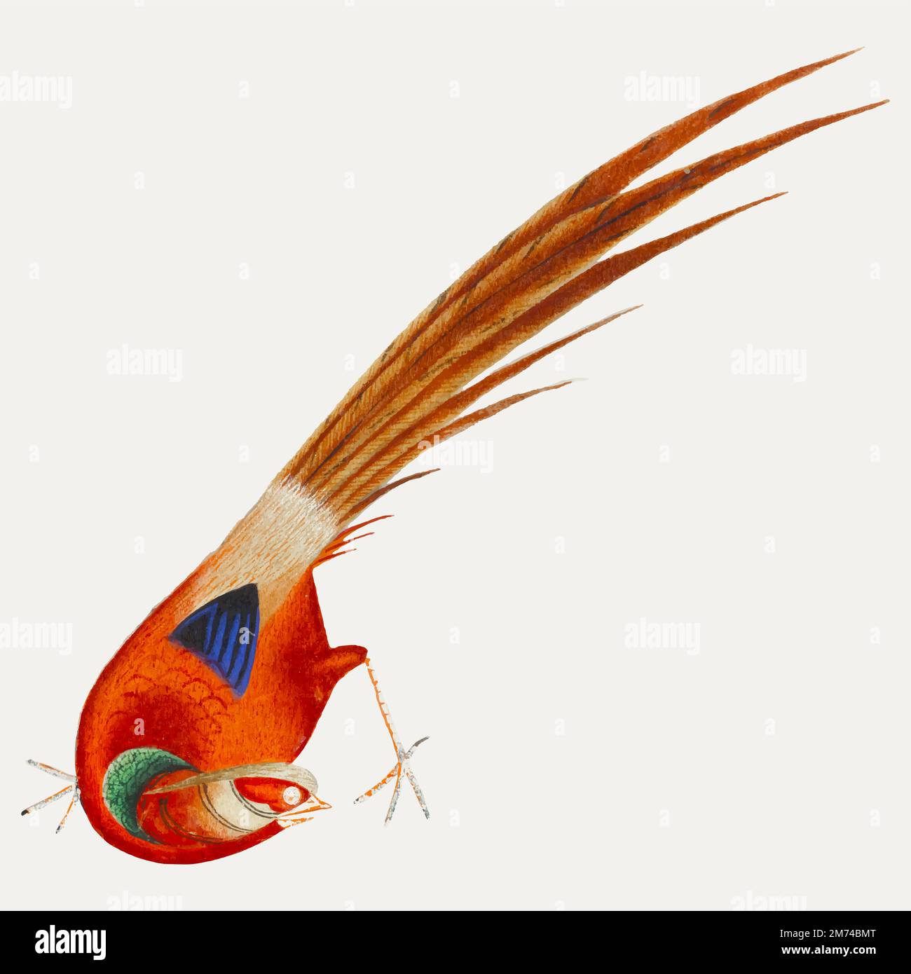 Chinese painting of a bird Stock Vector Image & Art - Alamy