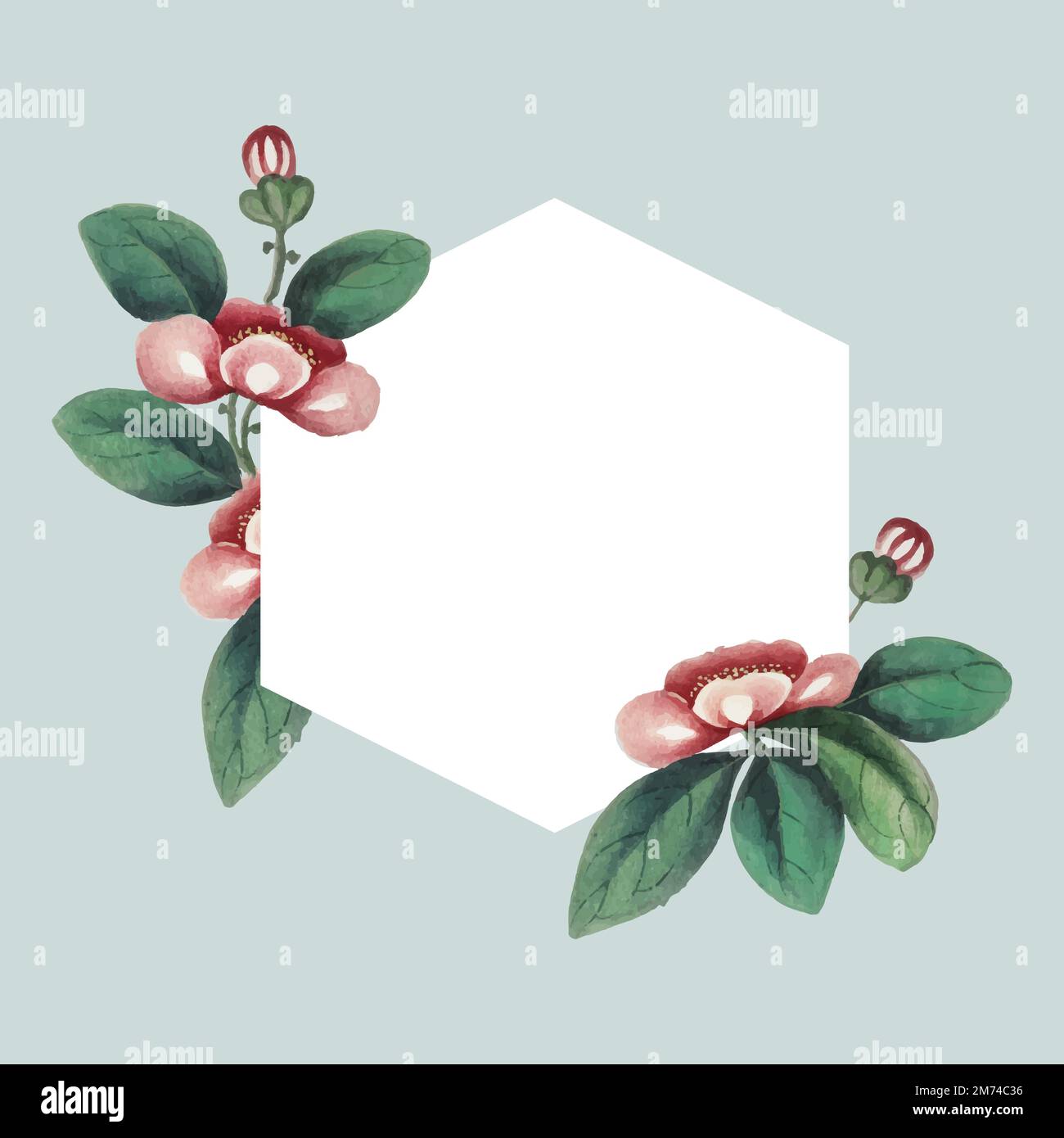Chinese painting featuring flowers blank hexagon frame vector Stock ...