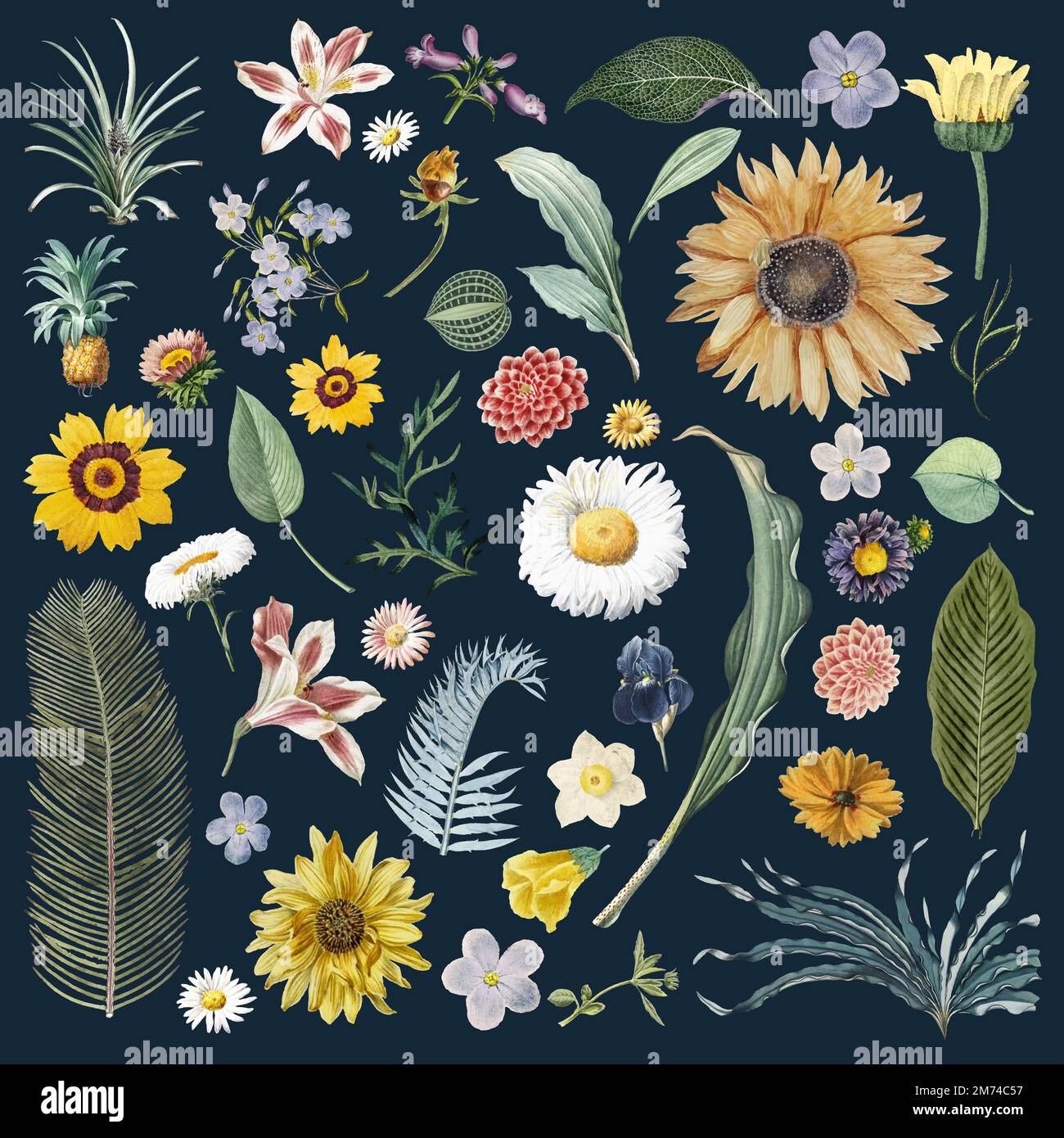 Beautifully illustrated blue flower hi-res stock photography and images ...