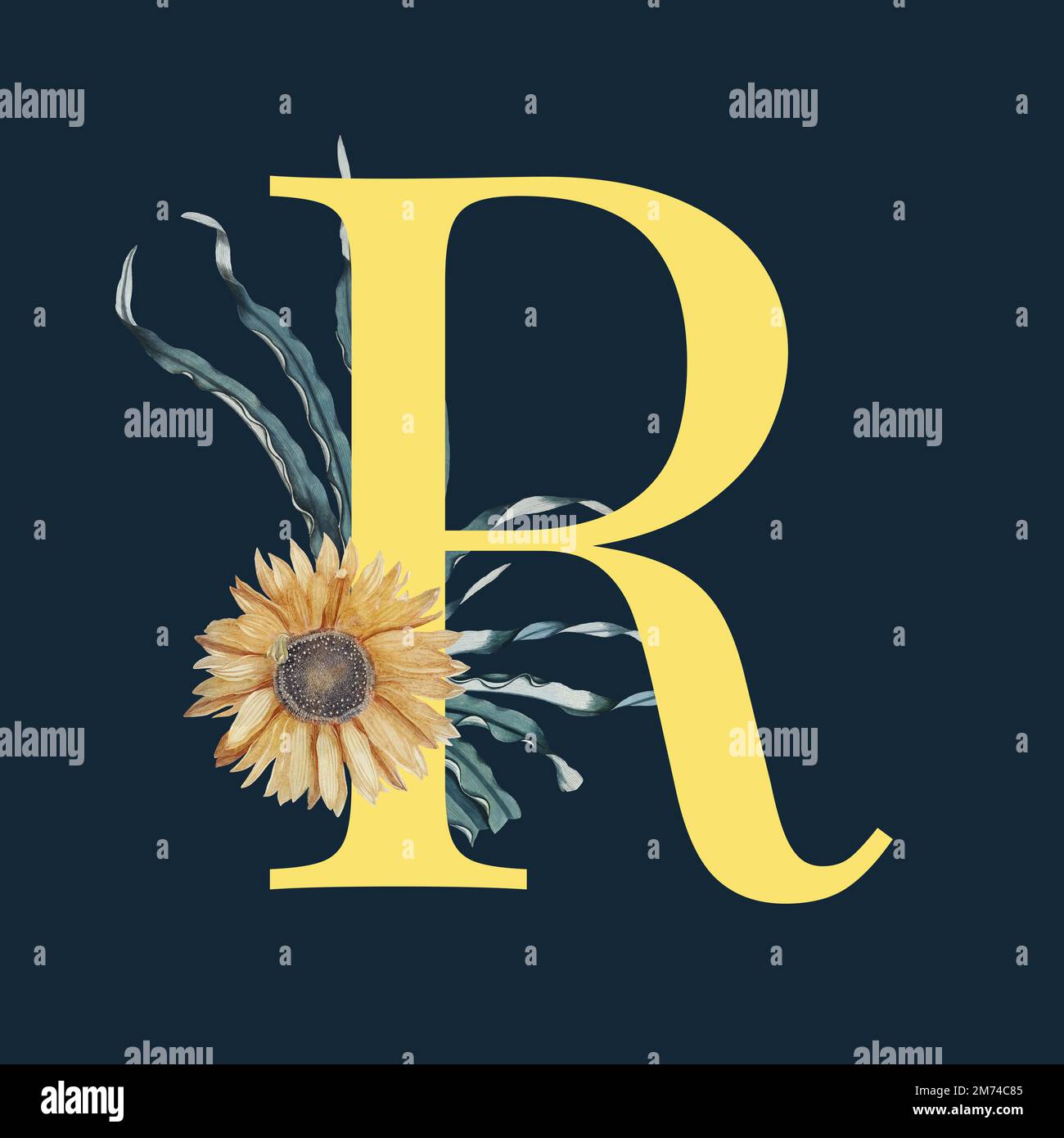 R Alphabet Wallpaper 390 Best Letter R Ideas | Letter R, Stylish