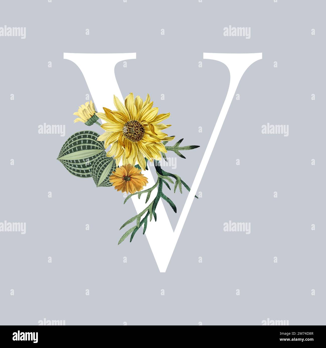 Sunflower v Stock Vector Images - Alamy