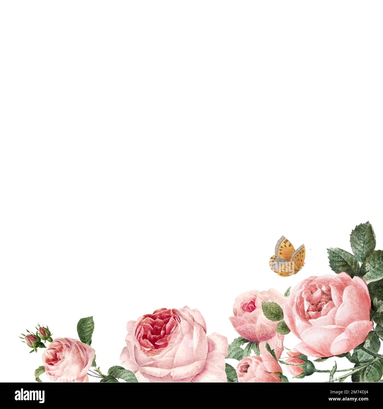 Hand drawn pink roses frame on white background vector Stock Vector ...