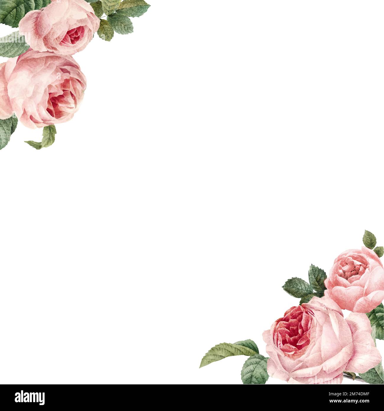 Hand drawn pink roses frame on white background vector Stock Vector ...