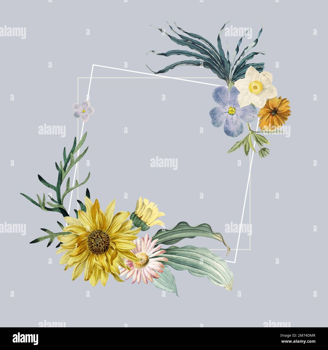 Frame decorated with flowers vector Stock Vector Image & Art - Alamy
