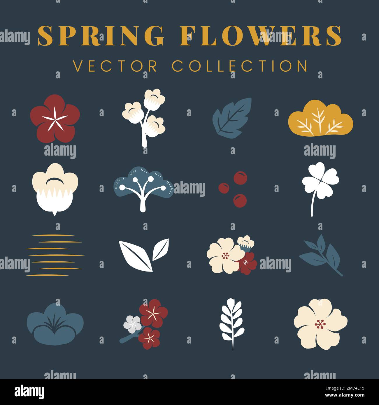 Colorful spring flowers vector collection Stock Vector Image & Art - Alamy
