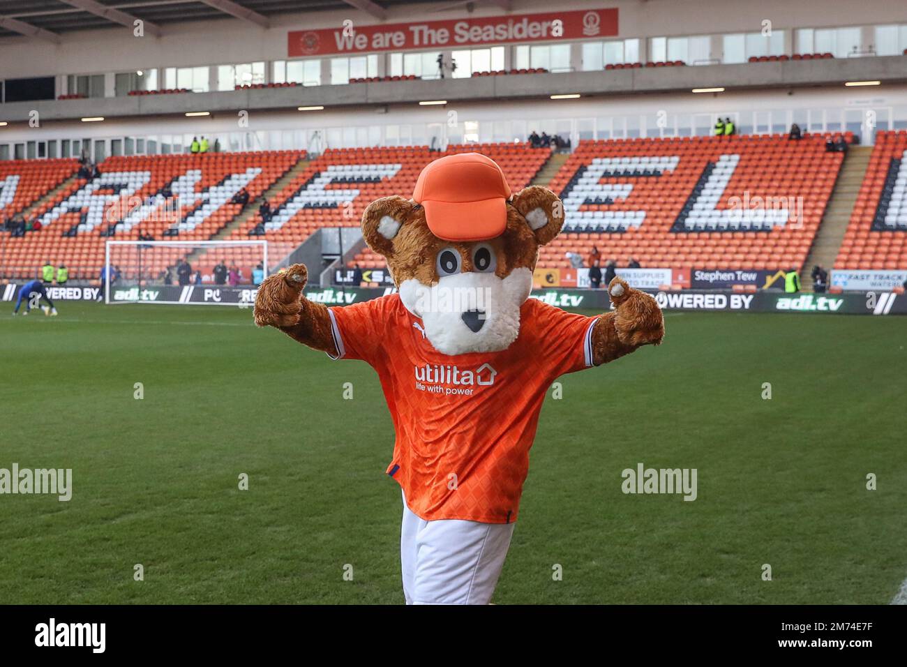 Bloomfield Bear Blackpools mascot during the Emirates FA Cup Third ...