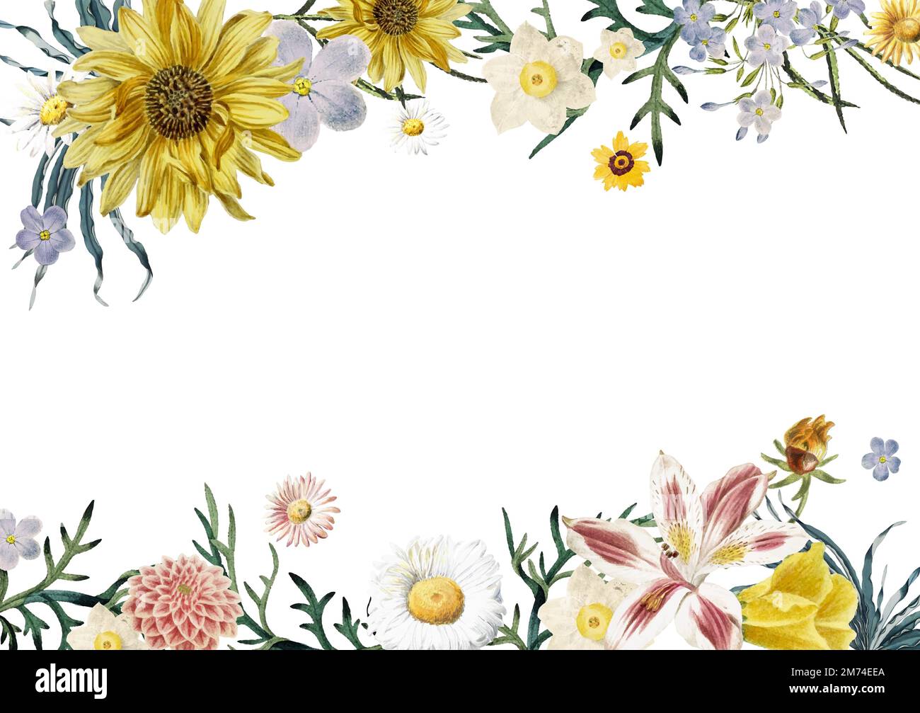 Floral framed invitation card vector Stock Vector Image & Art - Alamy