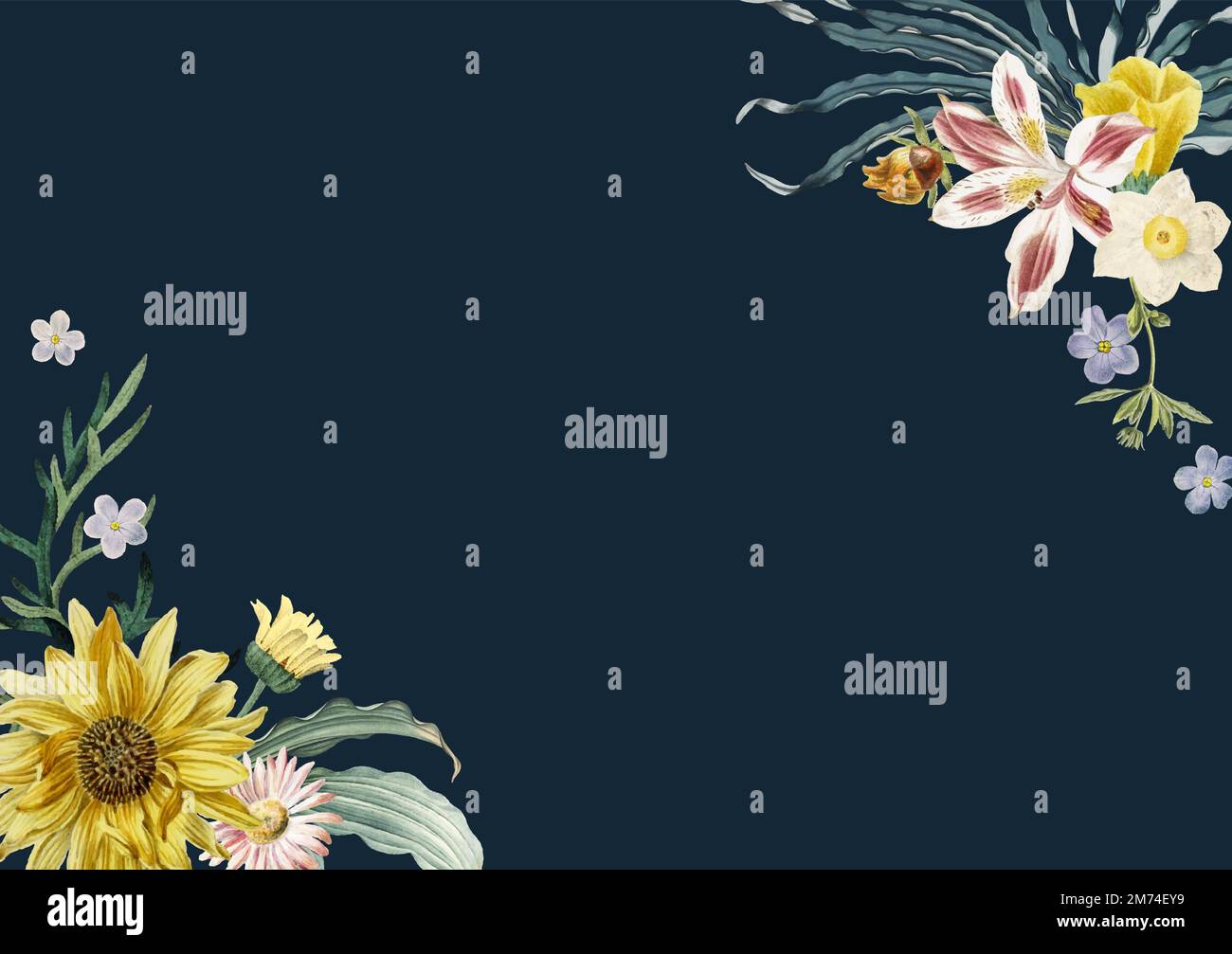 Floral framed invitation card vector Stock Vector Image & Art - Alamy