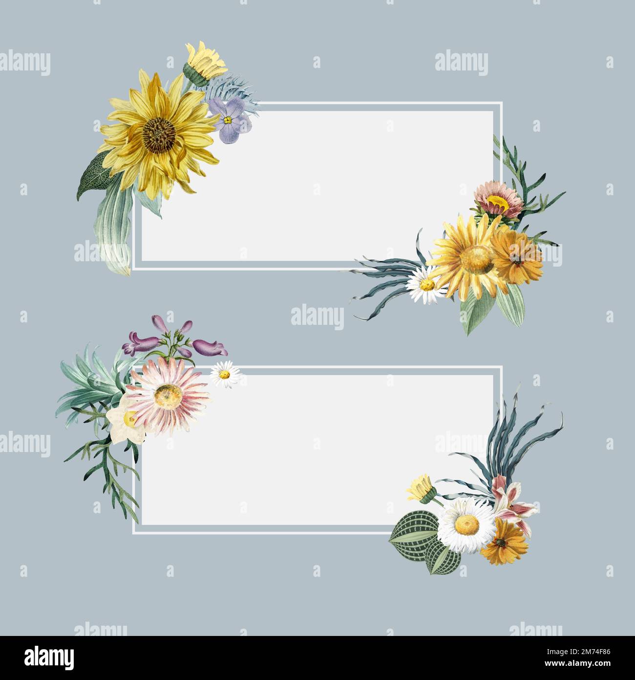 Set of floral framed banner vectors Stock Vector Image & Art - Alamy