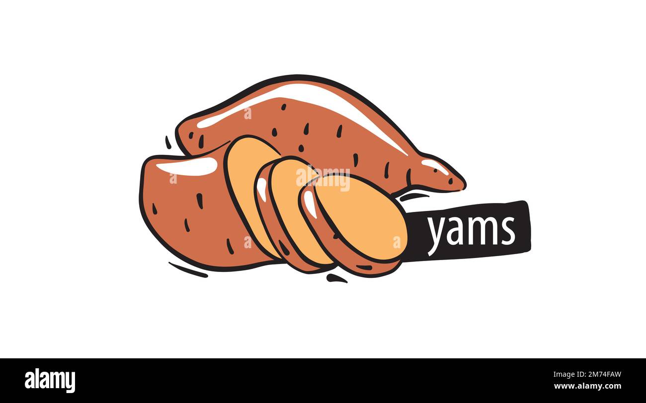 Drawn yam isolated on a white background Stock Vector Image & Art - Alamy