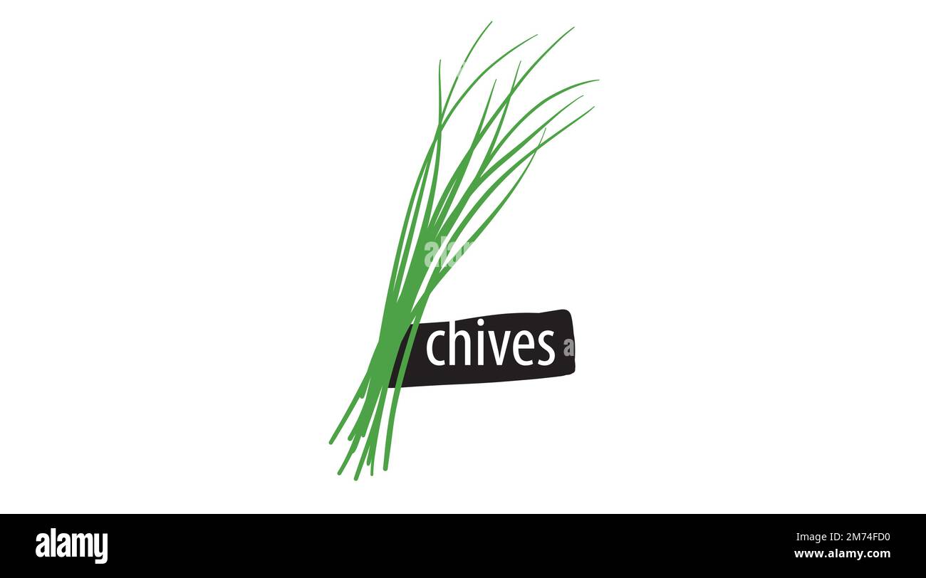 Chopped fresh green herb background Stock Vector Images - Alamy