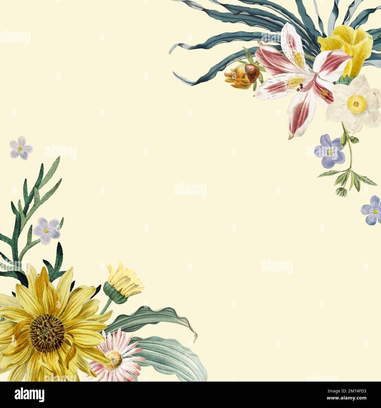 Floral framed invitation card vector Stock Vector Image & Art - Alamy