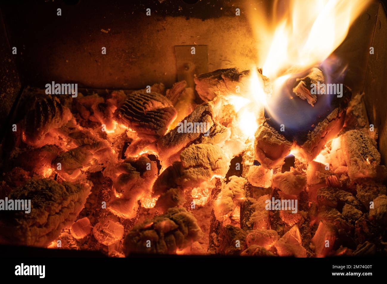 bonfire campfire with coal and wood burning on the harvest festival of ...