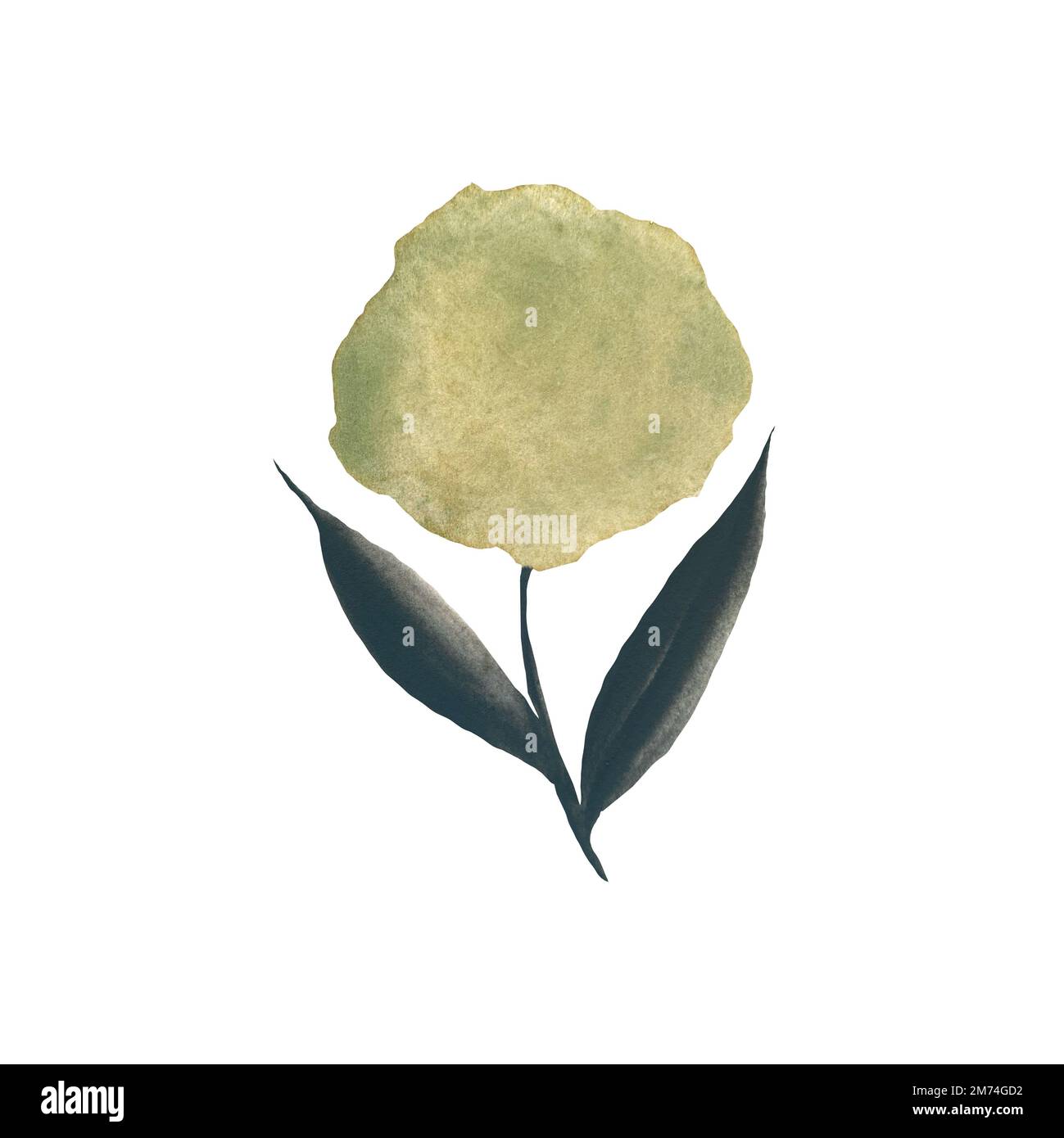 Flower blue green simple a watercolor illustration Stock Photo - Alamy