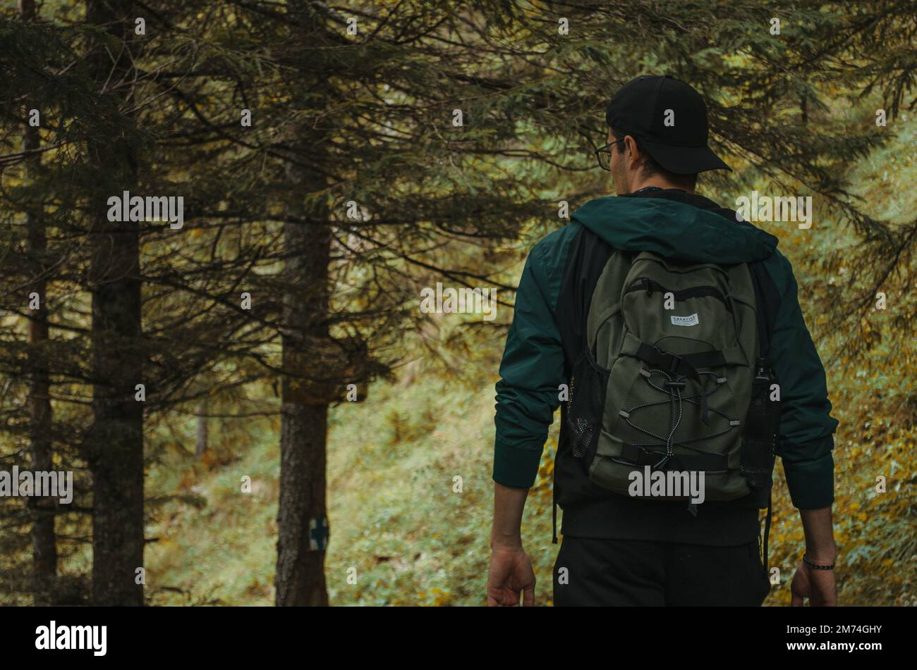 A back view of a male hiker with a backpack in the Bucegi mountains ...