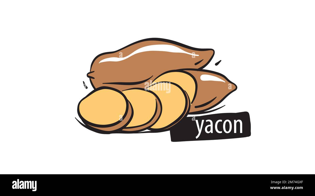 Yacon root Stock Vector Images - Alamy