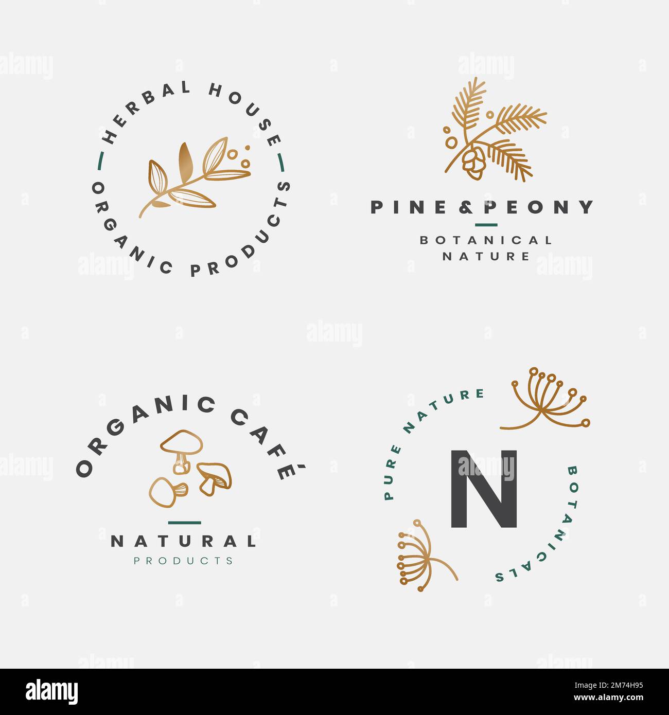 Set of floral botanical vectors Stock Vector Image & Art - Alamy