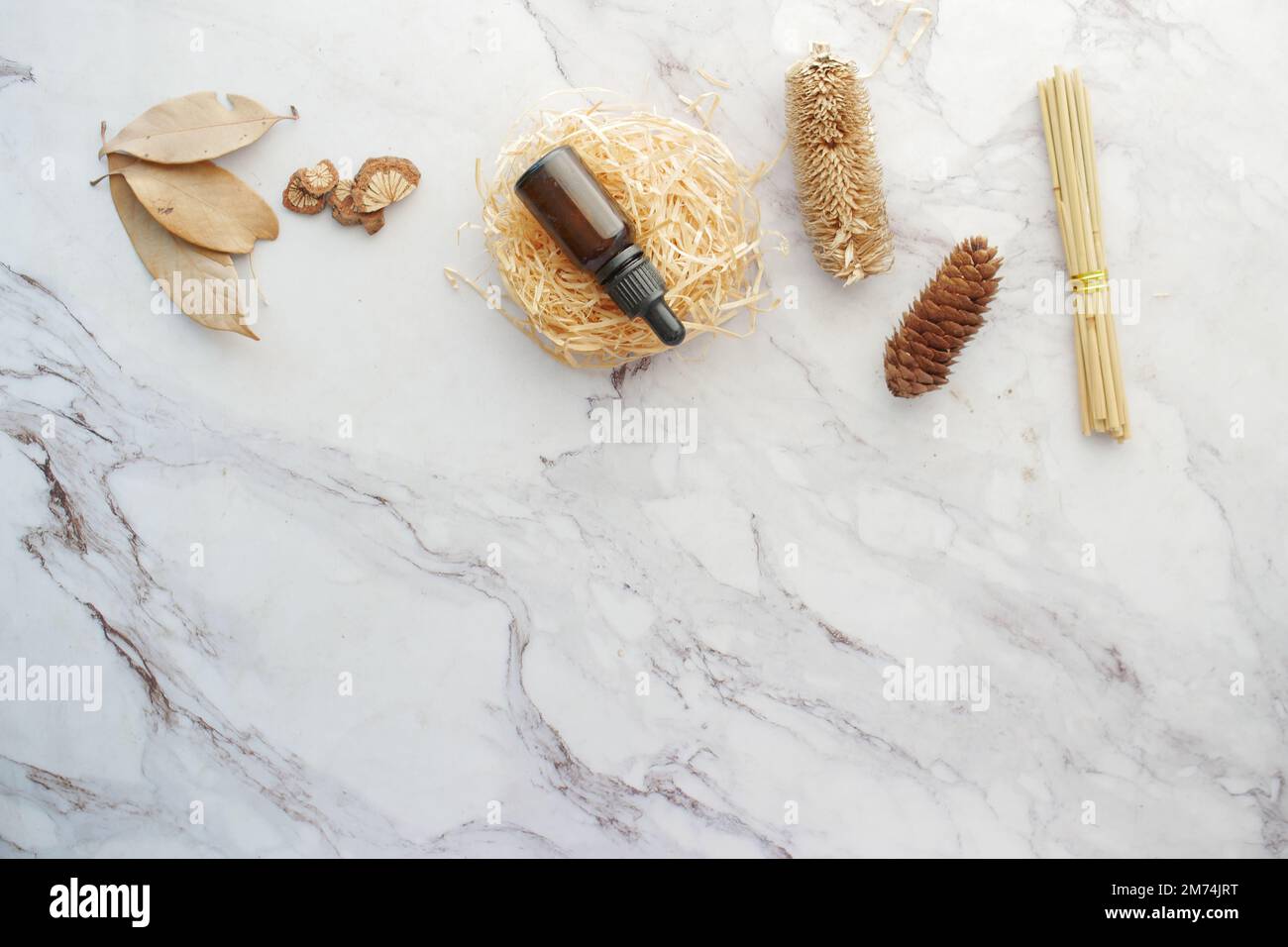 eucalyptus essential oils in a glass bottle with green leaf on white ...