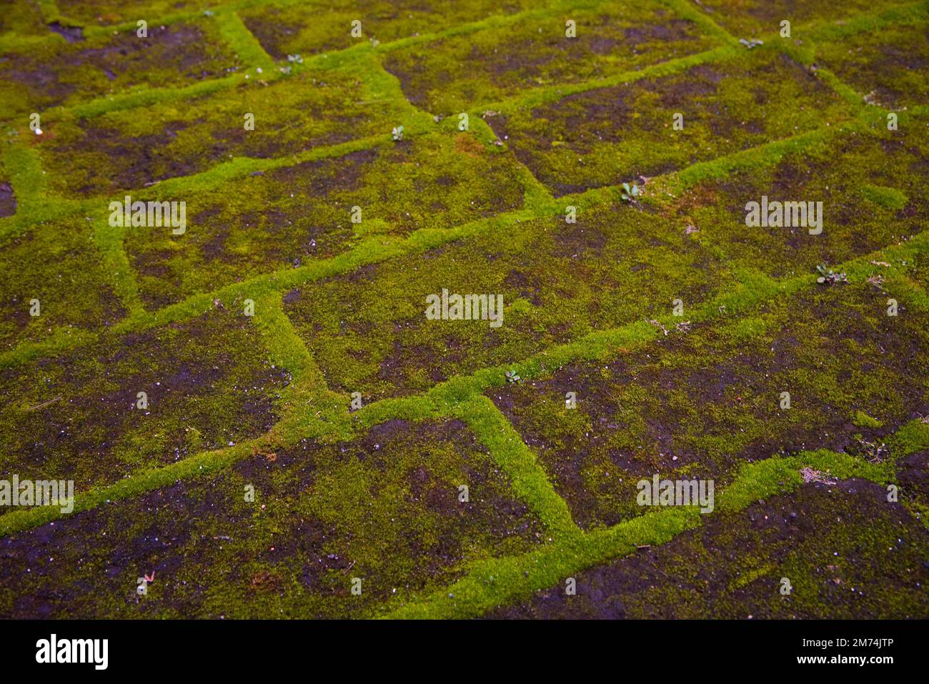 Confucius Temple in Qufu,Shandong Stock Photo - Alamy