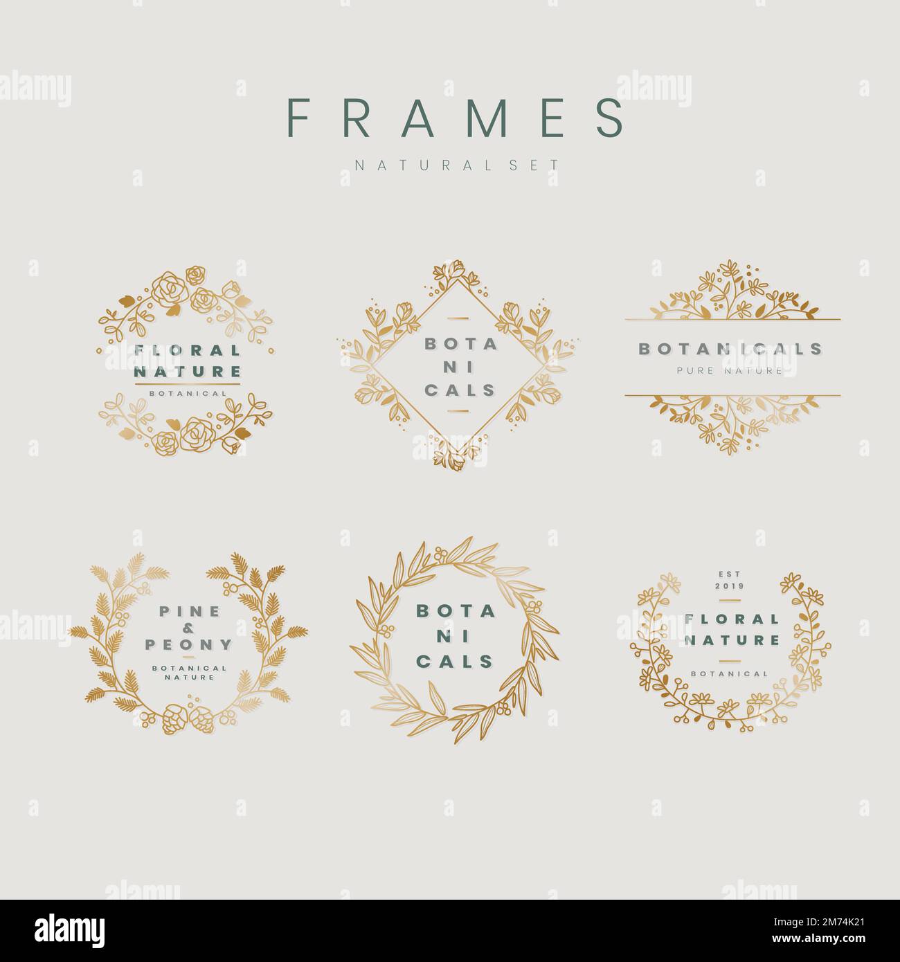 Botanicals vector vectors hi-res stock photography and images - Alamy