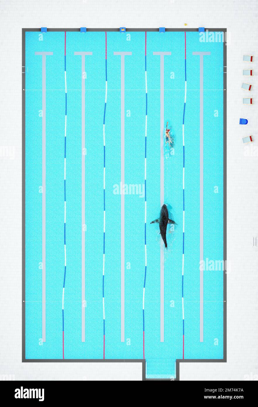 Shark in the Swimming pool underwater . 3d illustration Stock Photo - Alamy