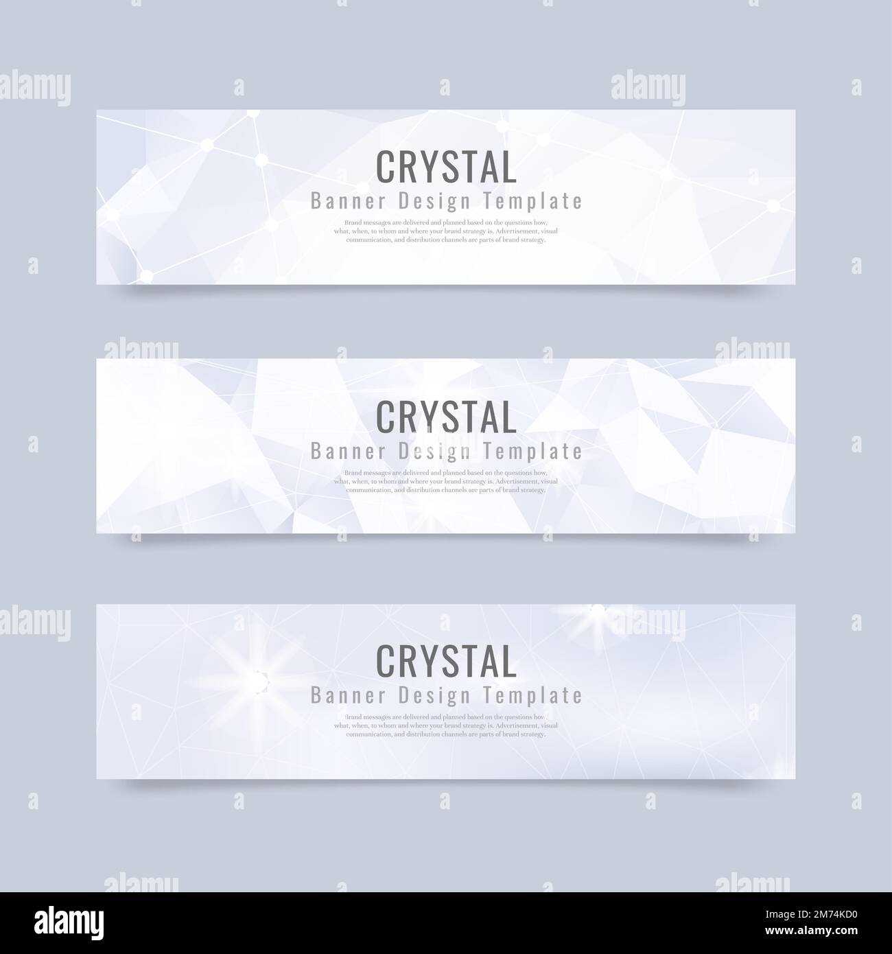 Blue and white crystal textured banner template vector Stock Vector ...