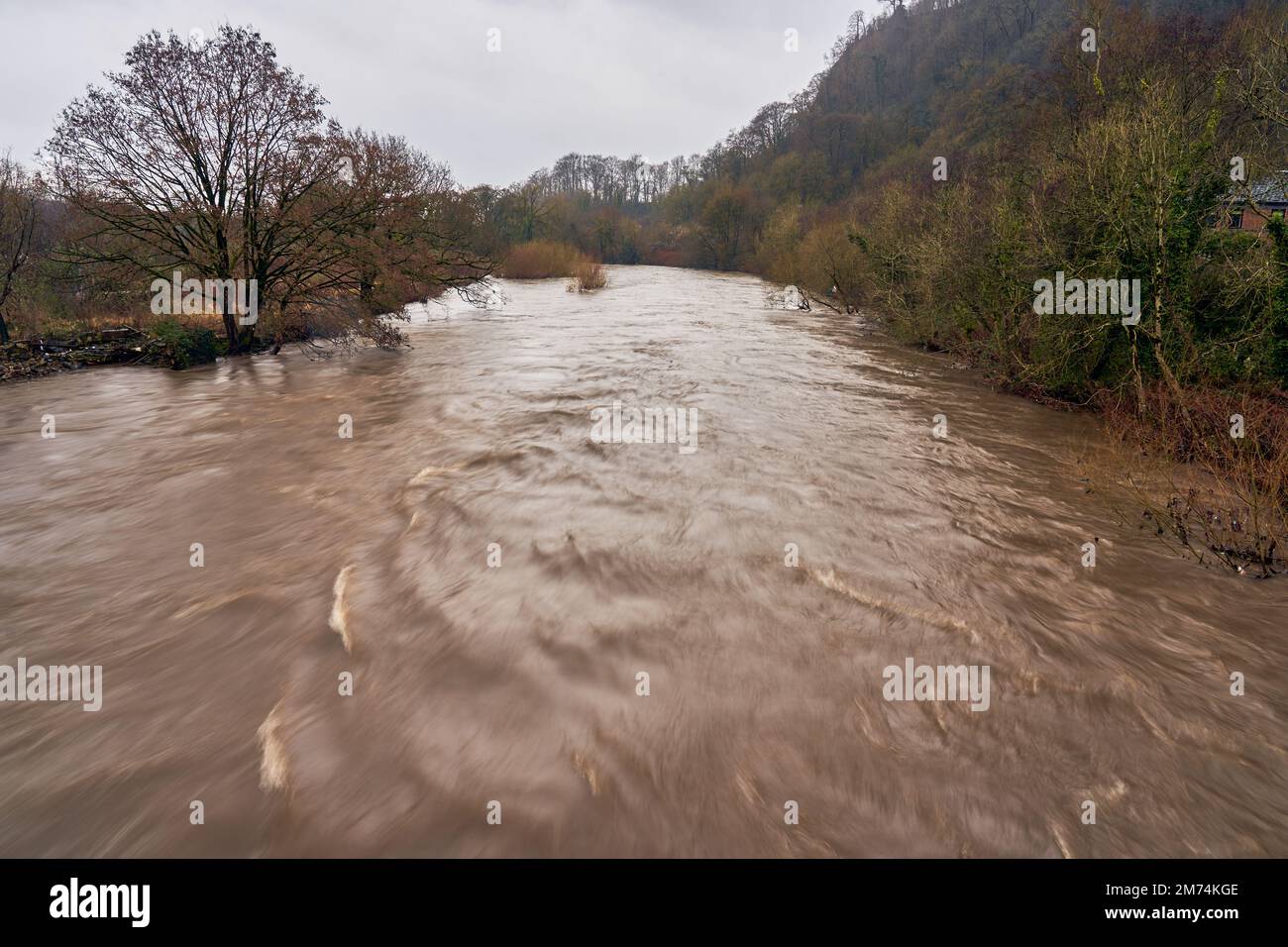 A full River Taff after heavy rain in South Wales. View from the Ynys ...