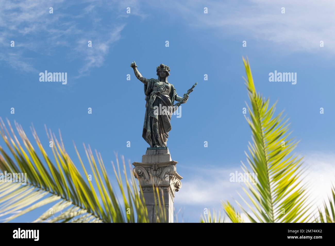 Tree leaves sky center hi-res stock photography and images - Alamy