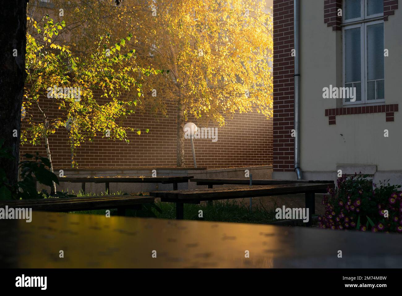 Picture of city center of Ruse in Bulgaria Stock Photo - Alamy