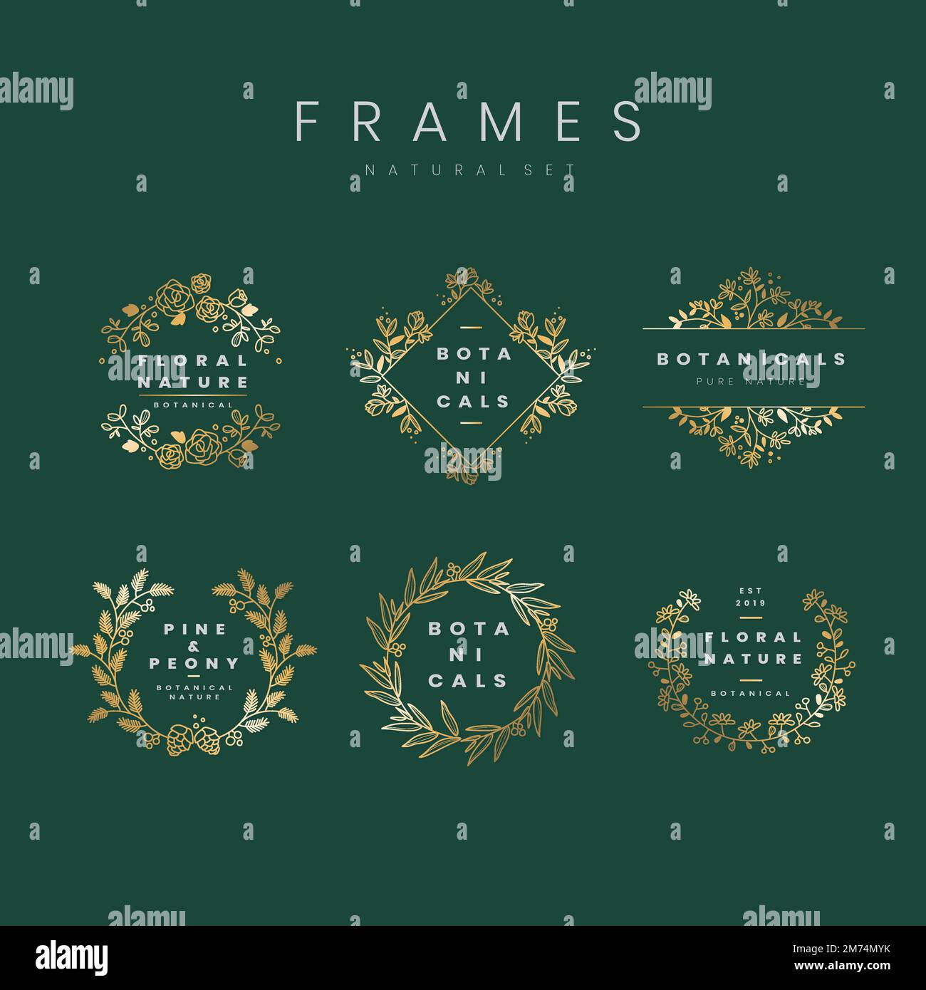 Set of floral botanical frame vectors Stock Vector Image & Art - Alamy