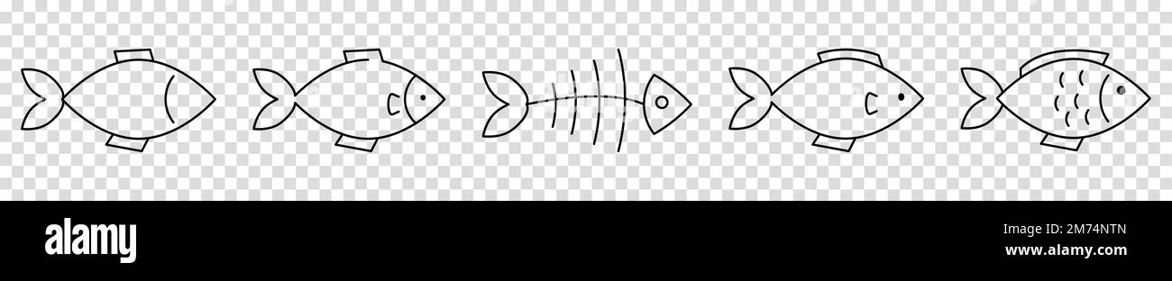 Set of fish line icons. Vector illustration isolated on transparent ...