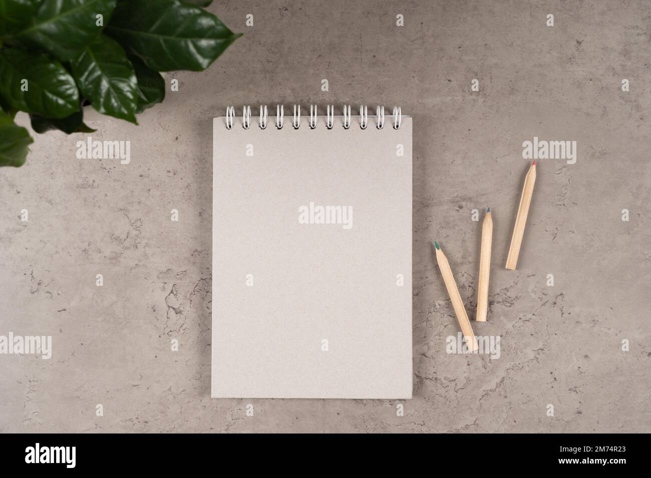 Modern workplace with recycled paper spiral blank notebook and wood ...