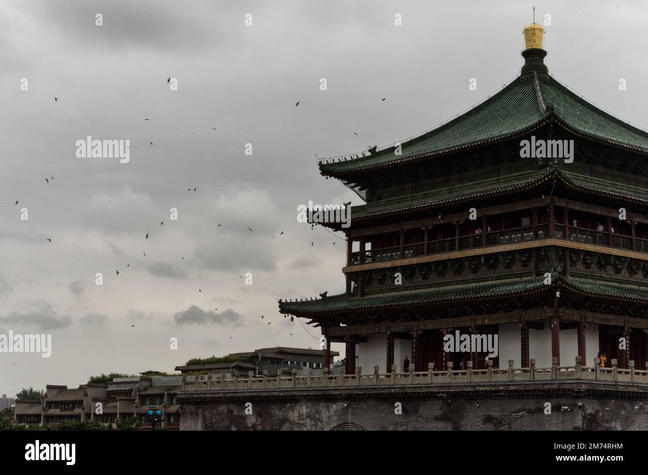 A bunch of wallow Flying Xi'an Bell Tower, Shaanxi, China under a ...