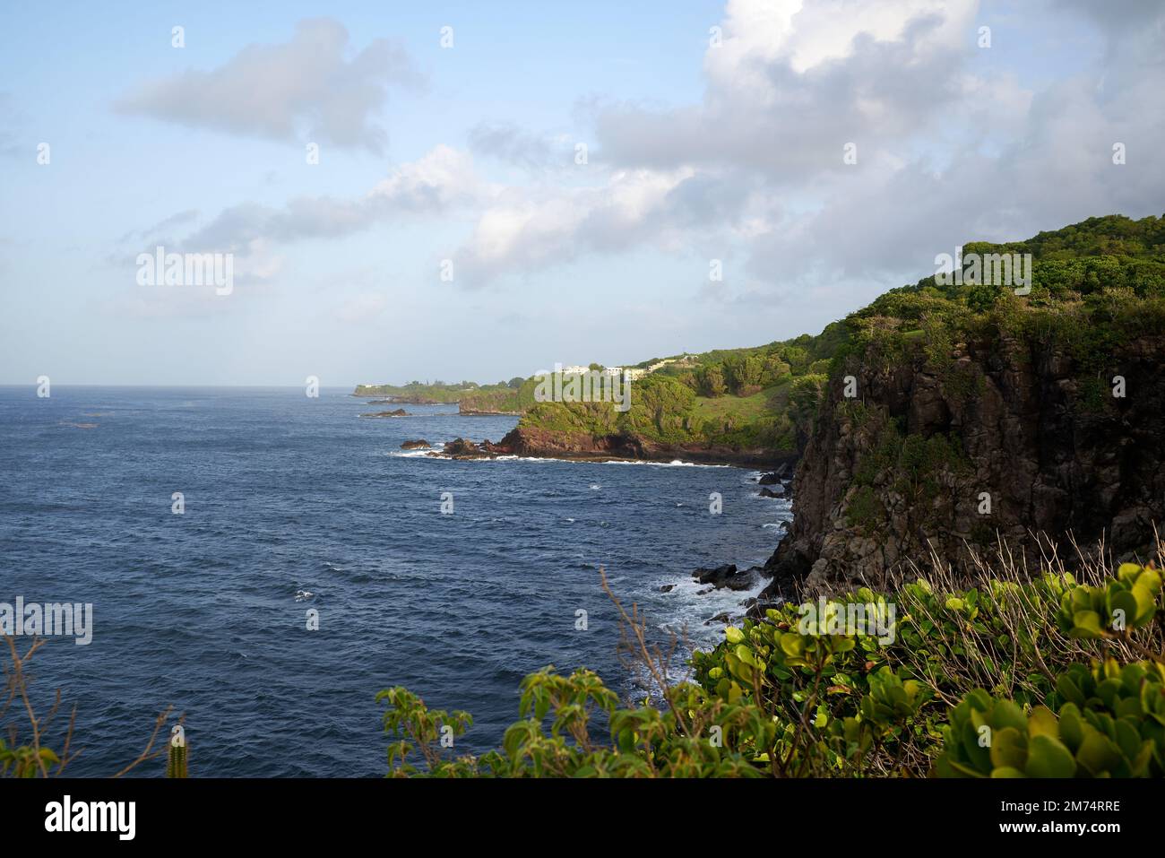 A beautiful shot of blue seawater near a rocky seashore with green ...