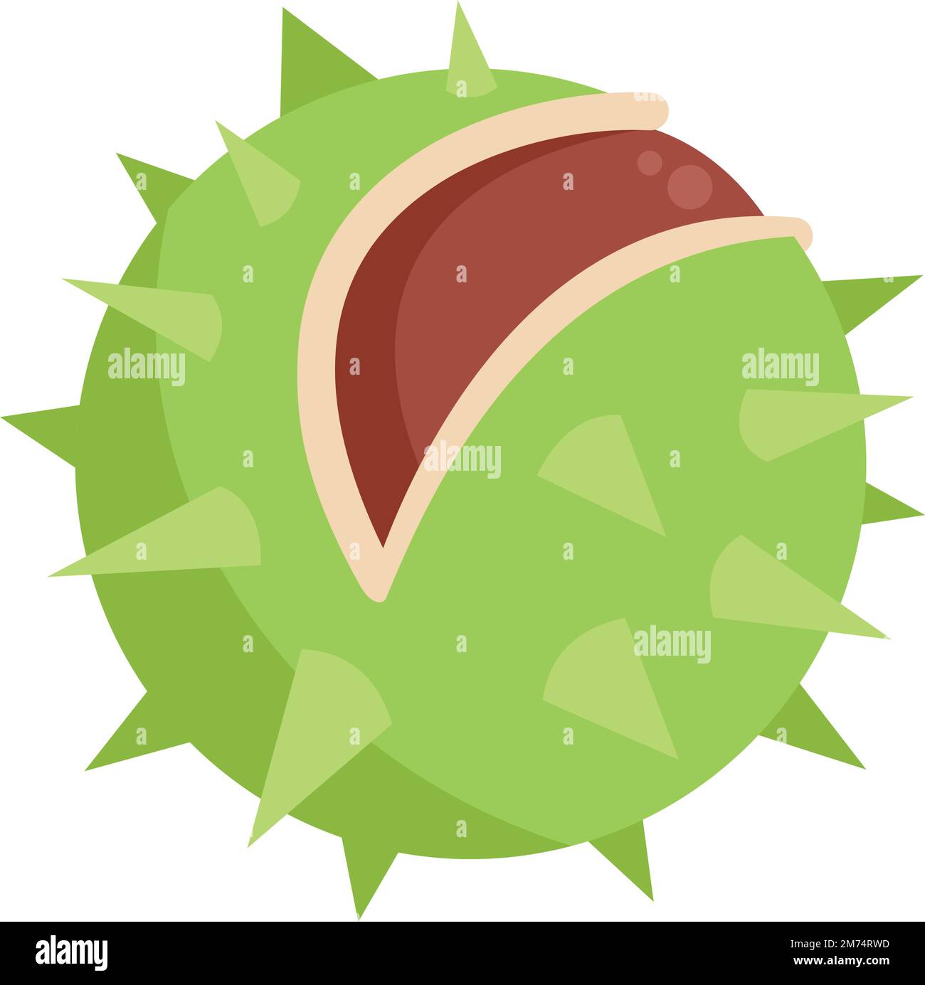 Sweet chestnut icon flat vector. Food tree. Season nut isolated Stock ...