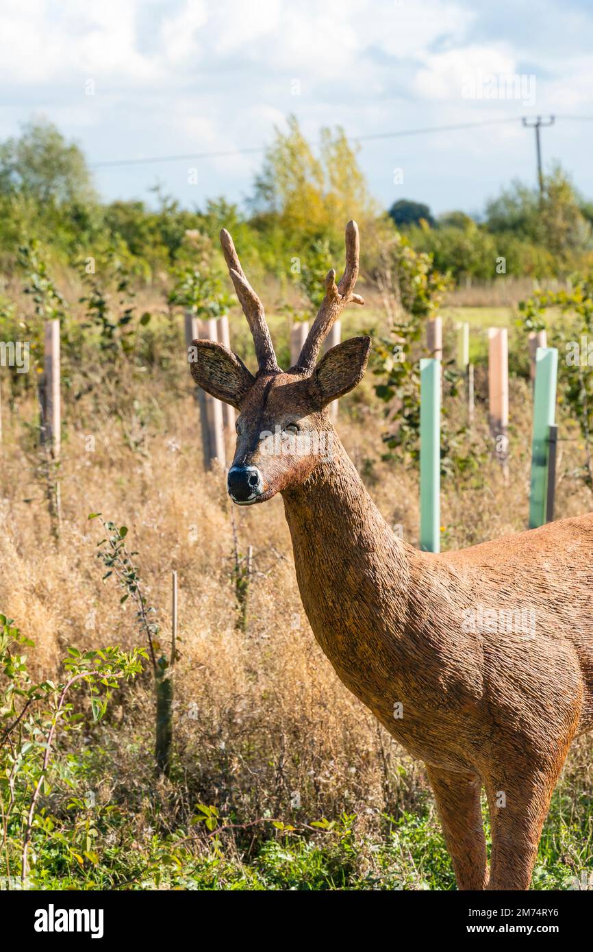 Statue of young red deer stag in cherry fields hi-res stock photography ...