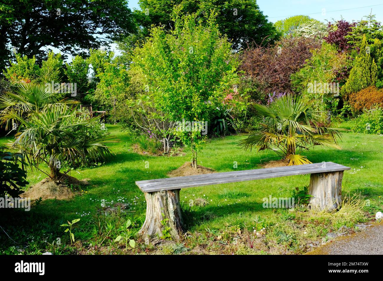 Domestic front garden hi-res stock photography and images - Alamy