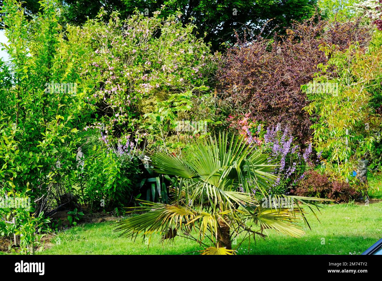 Cornish border hi-res stock photography and images - Alamy