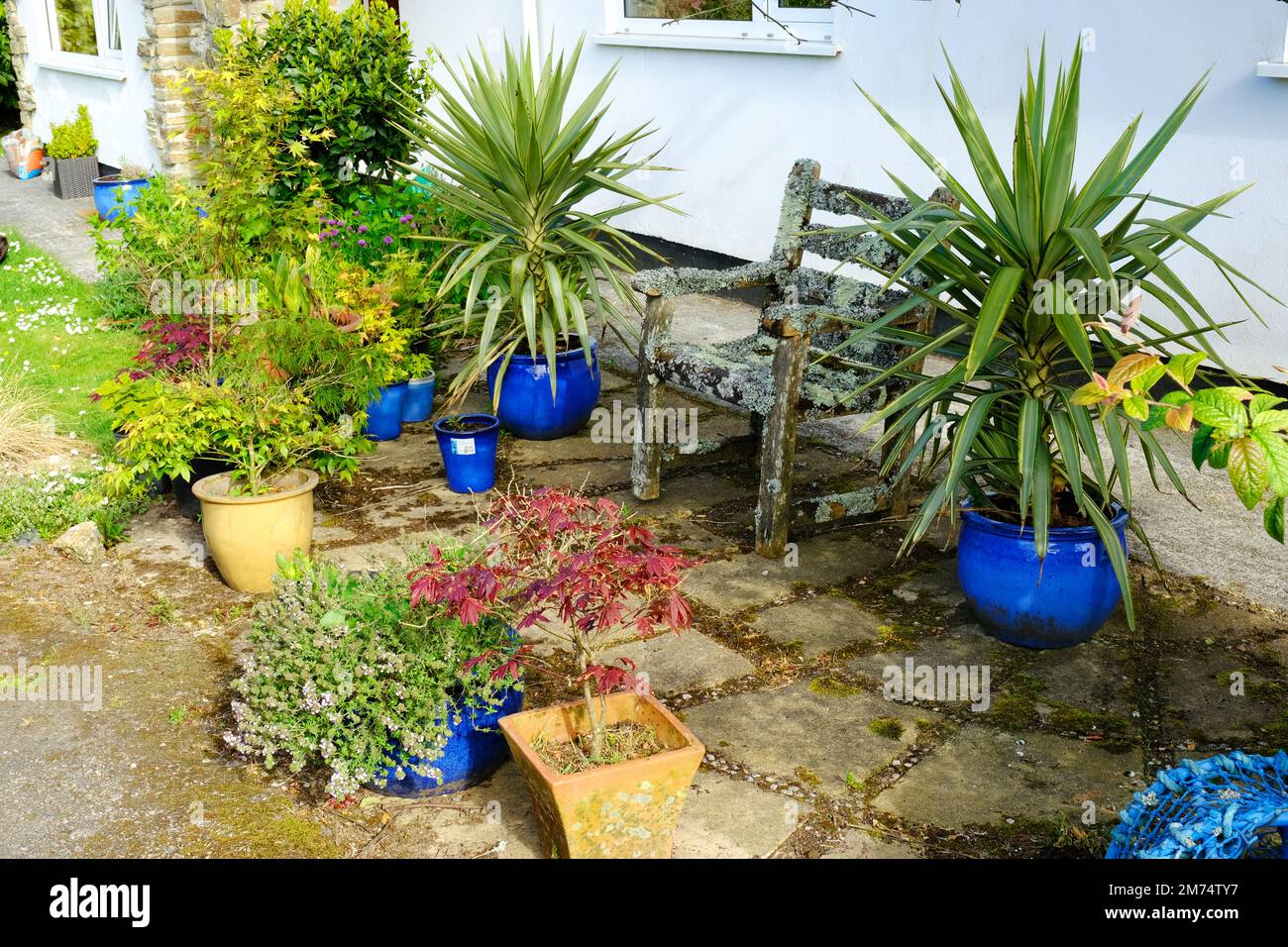 Containerised plants hi-res stock photography and images - Alamy