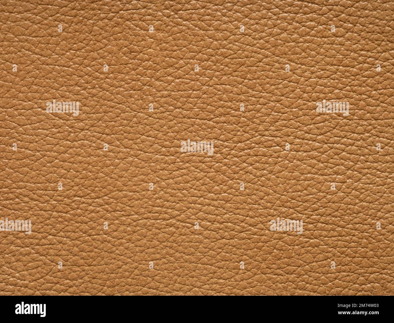 Bright soft beige or light brown color leather skin natural with design ...