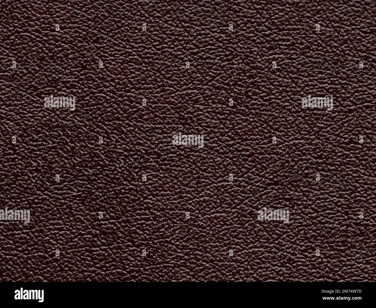 Genuine luxury dark brown leather texture sample. Background with copy ...