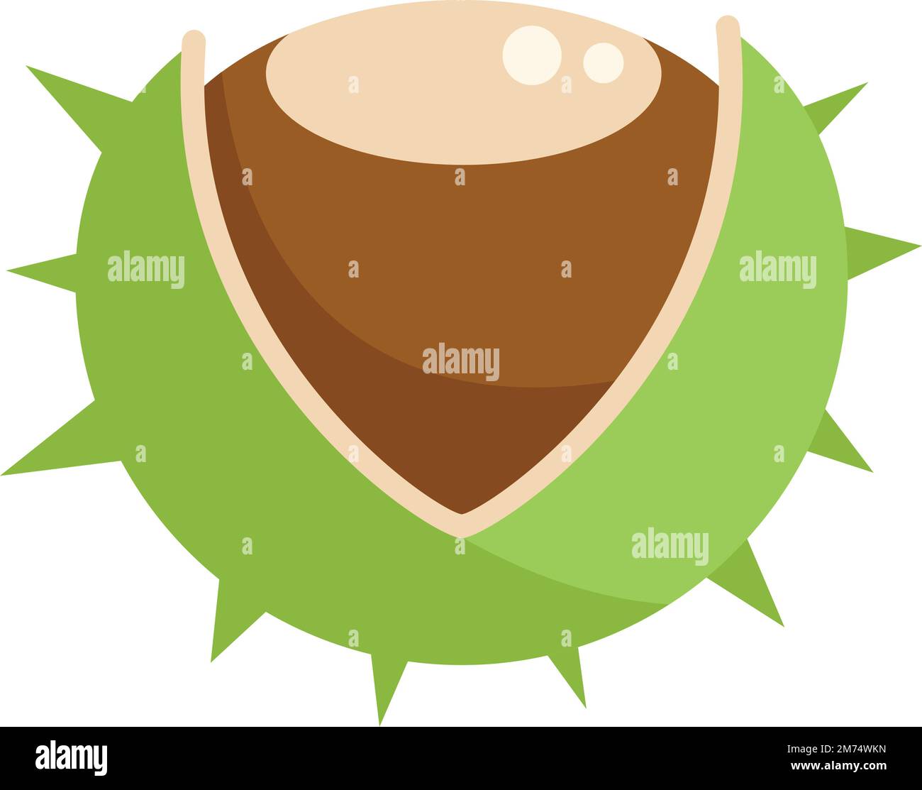 Tree chestnut icon flat vector. Sweet fruit. Roast nut isolated Stock ...