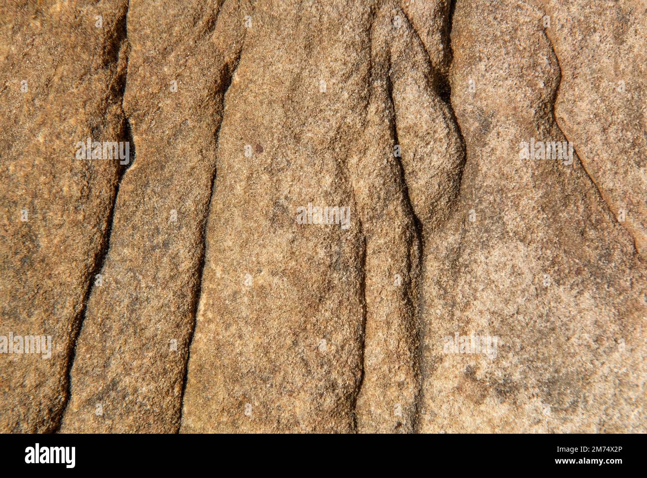 Close up metamorphic rock hi-res stock photography and images - Alamy