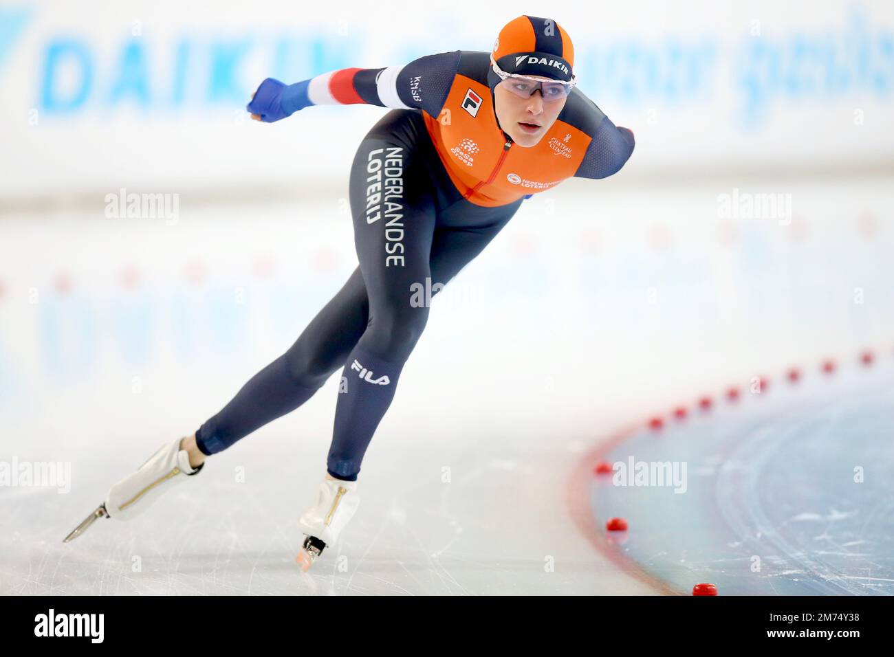 Robin groot hi-res stock photography and images - Alamy