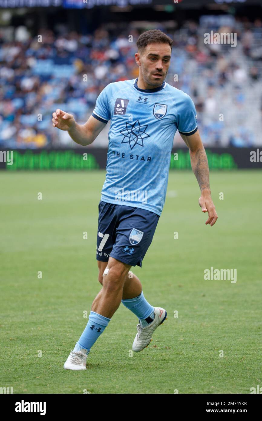 Anthony Caceres of Sydney FC looks on during the match between Sydney ...