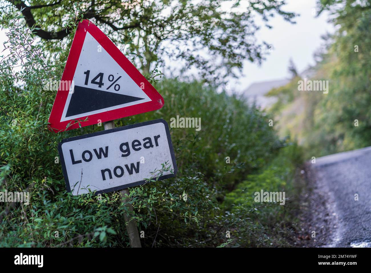 On the road to Leaderfoot from Smailholm. 14% gradient hill with sharp ...