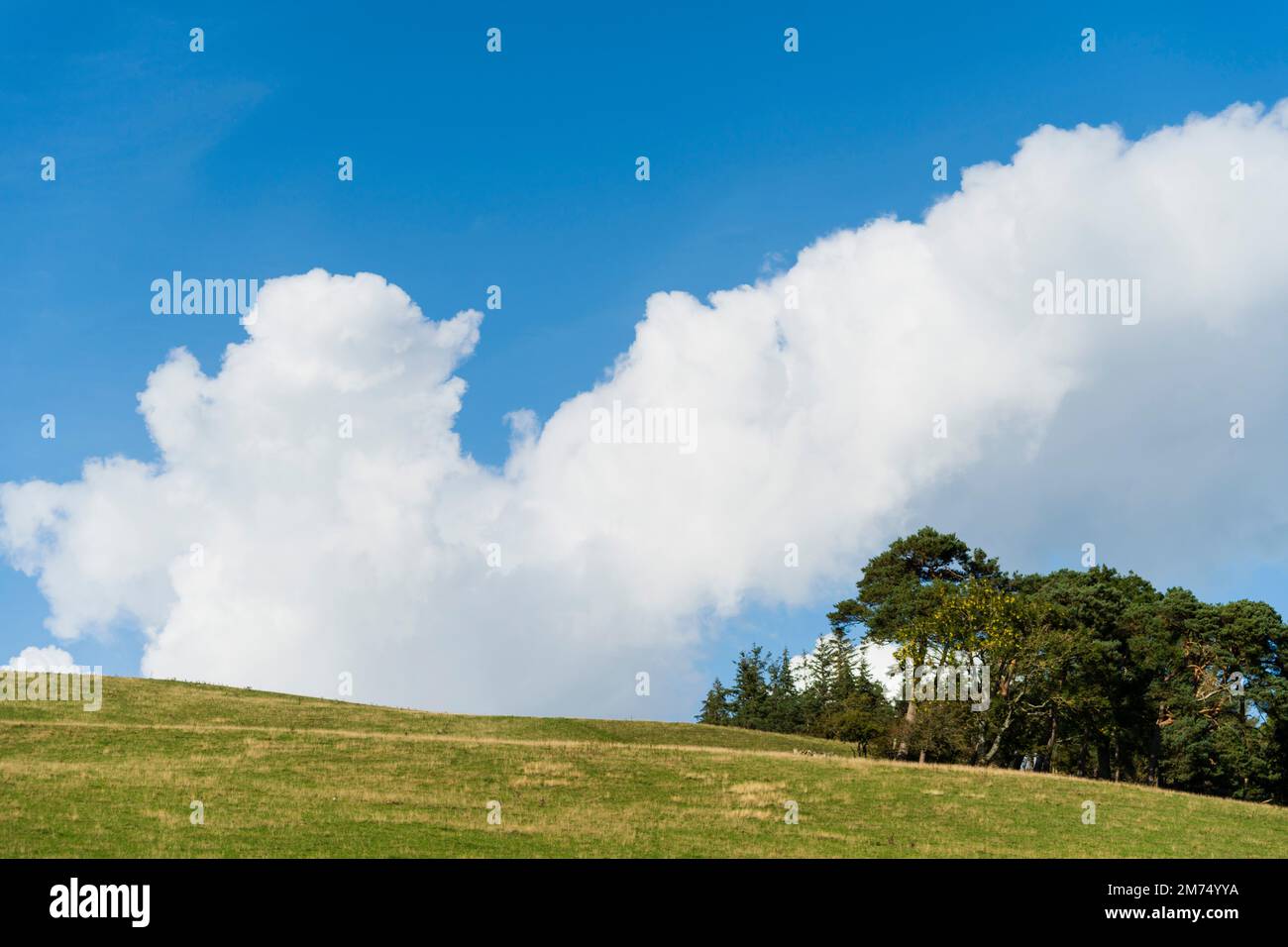 Landscape with clouds Stock Photo - Alamy