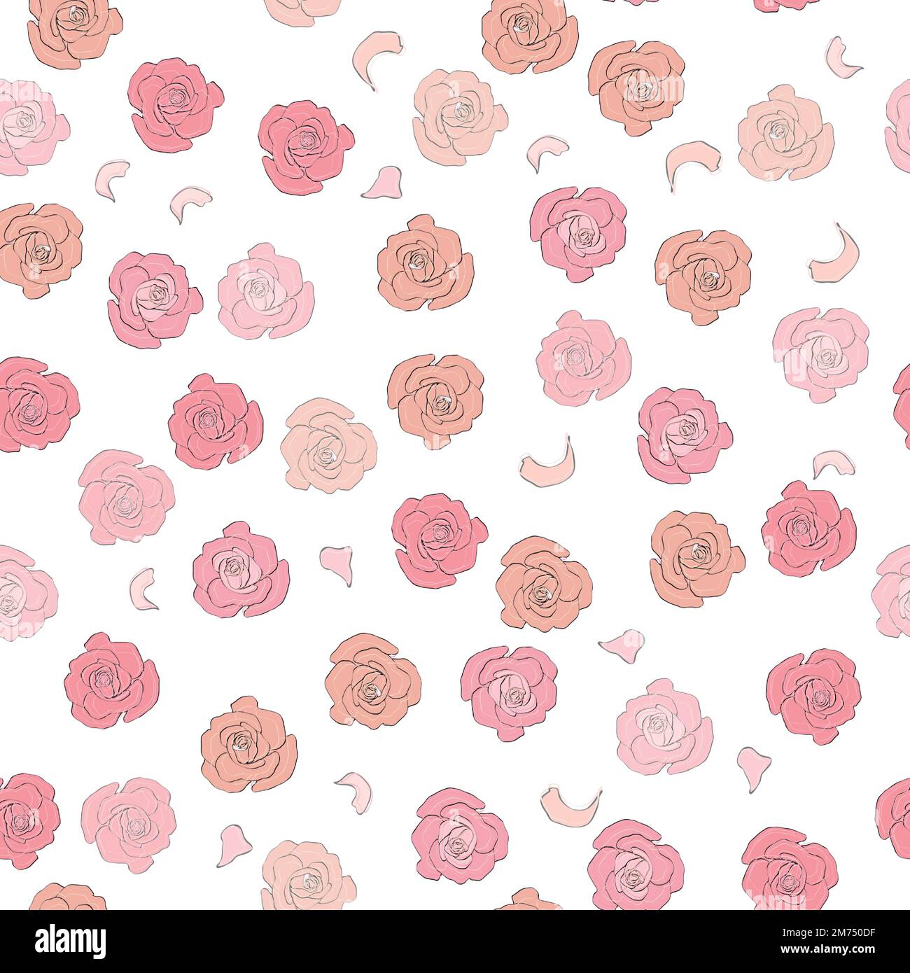 Apricot english rose Stock Vector Images - Alamy